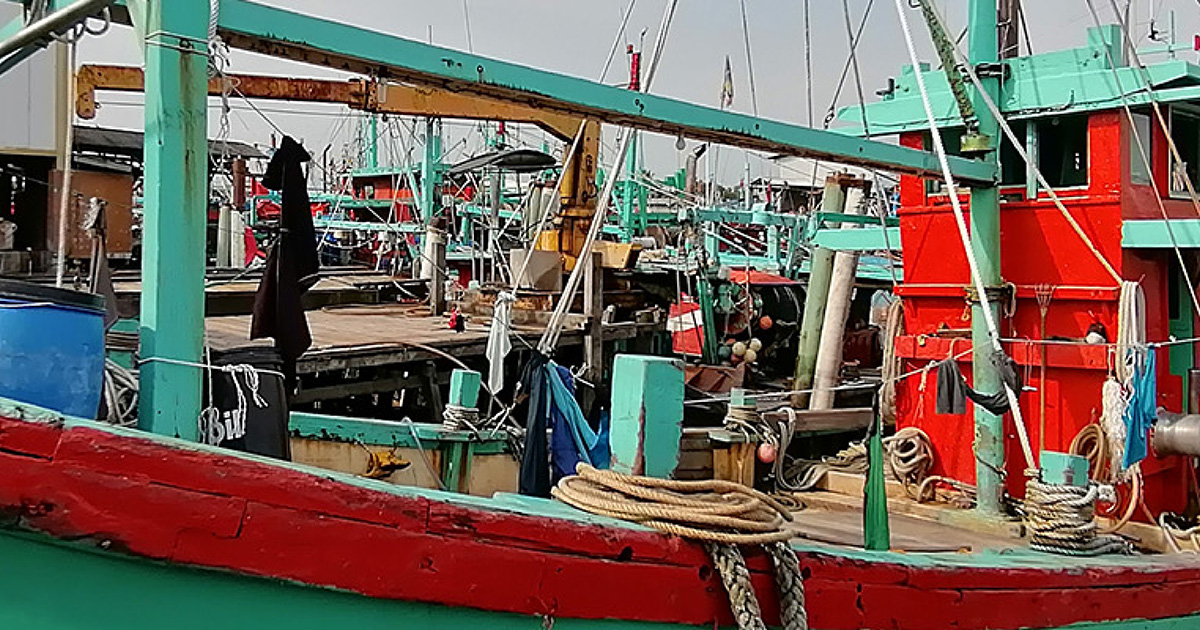 ODO Program helps Chan Seng Huat extend ODIs by 200%